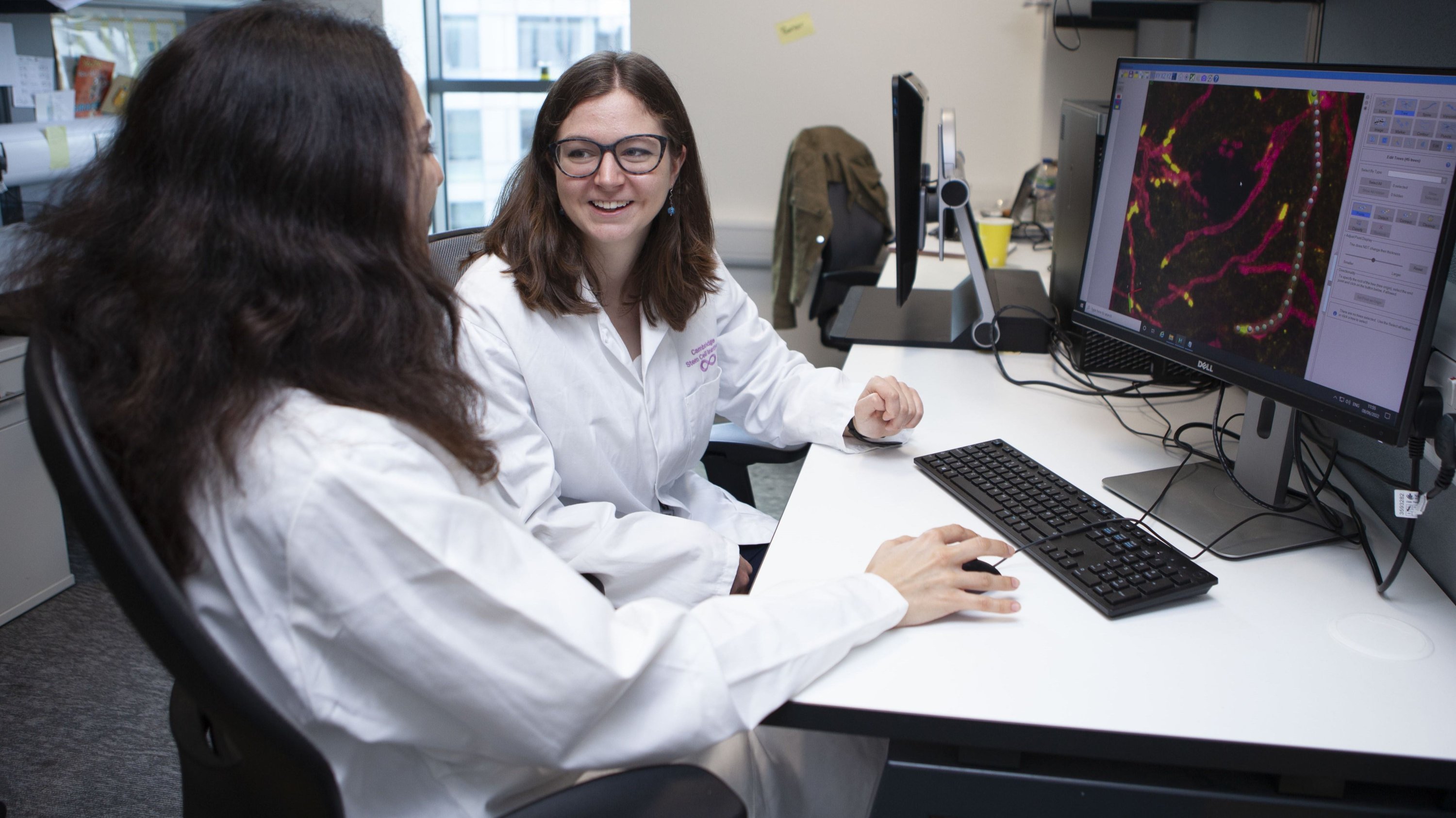 Funding for ECRs | MS Society